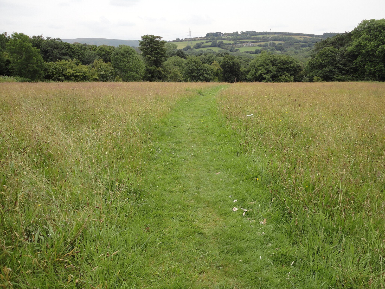 Bryngarw Country Park | Birdingplaces