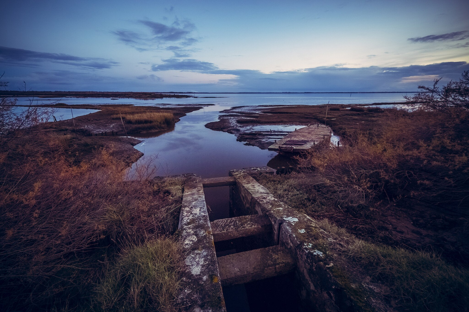 Domaine de Certes et Graveyron | Birdingplaces