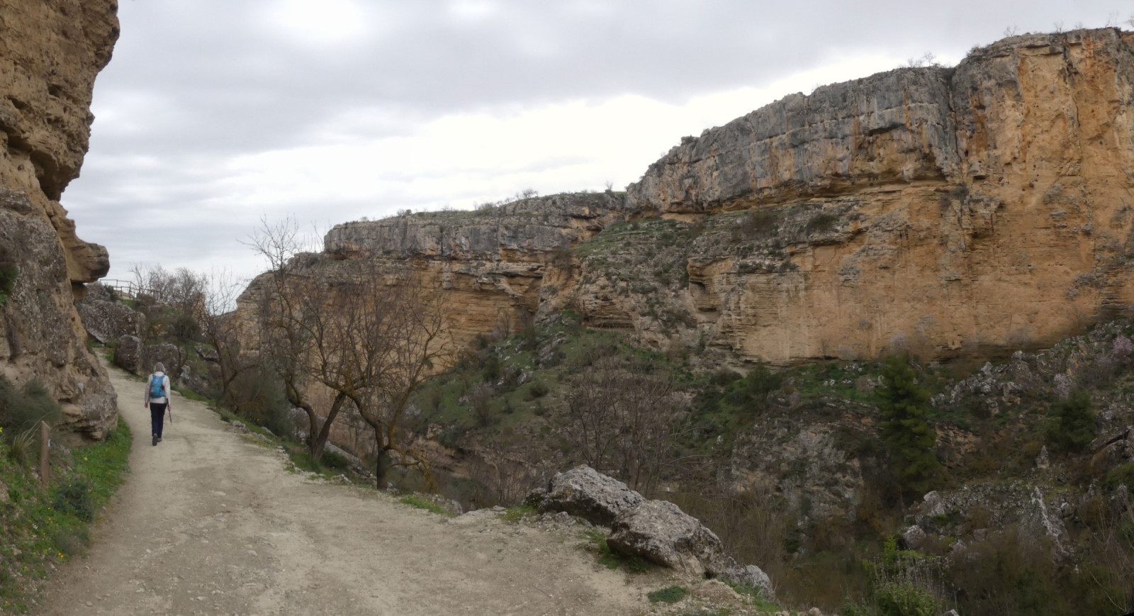 Tajos de Alhama | Birdingplaces