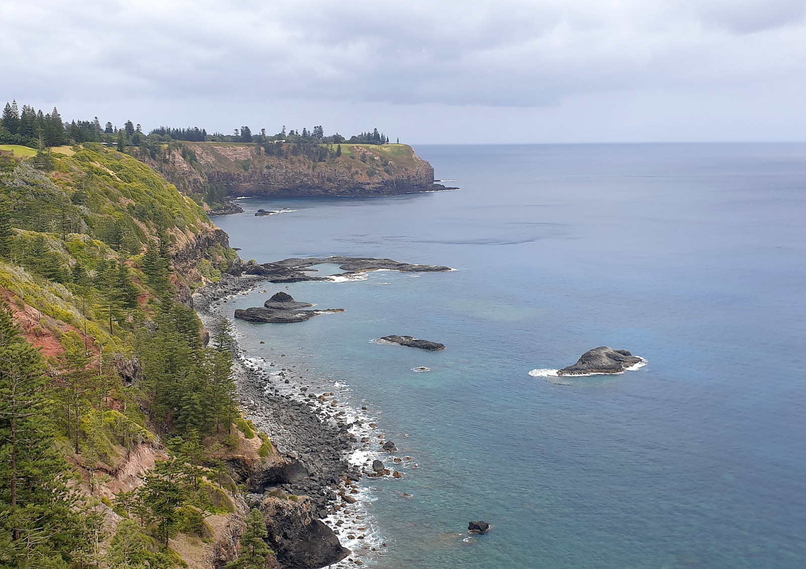 Captain Cook Lookout | Birdingplaces