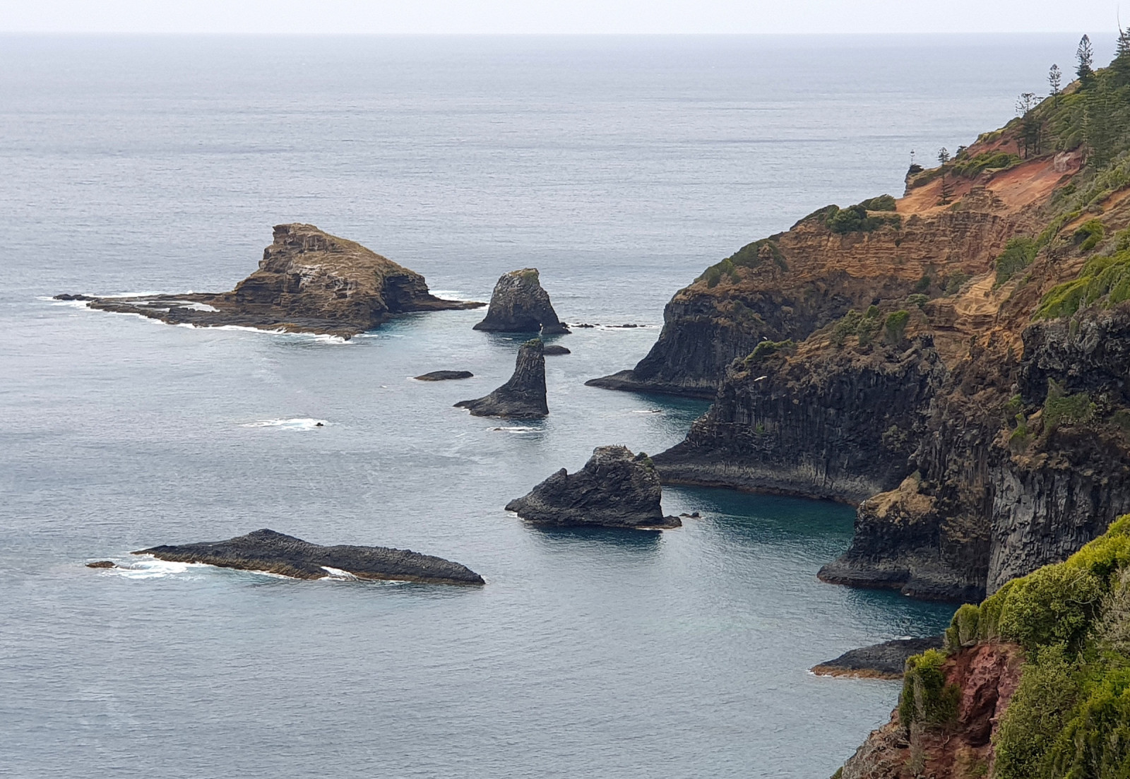 Captain Cook Lookout | Birdingplaces