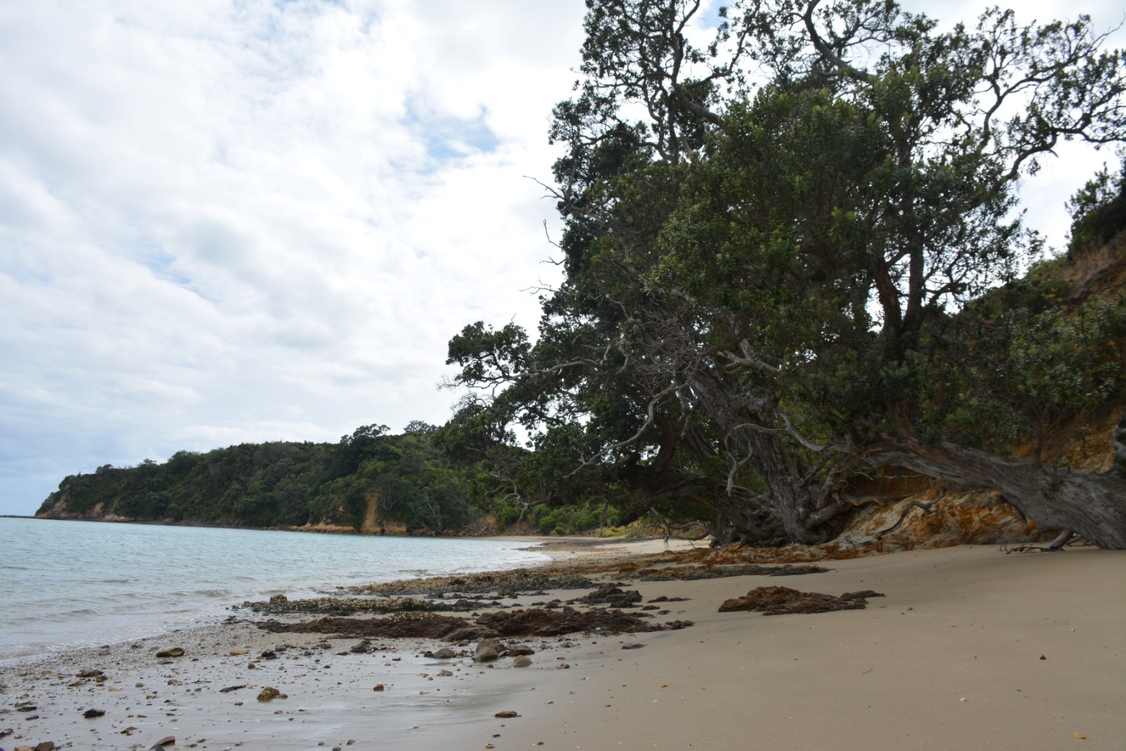Rotoroa Island | Birdingplaces