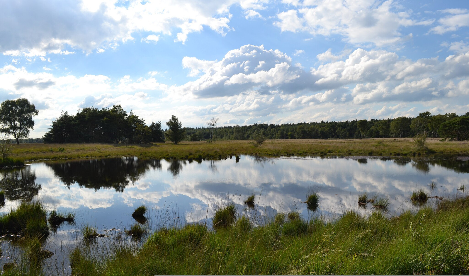Neterselse Heide | Birdingplaces