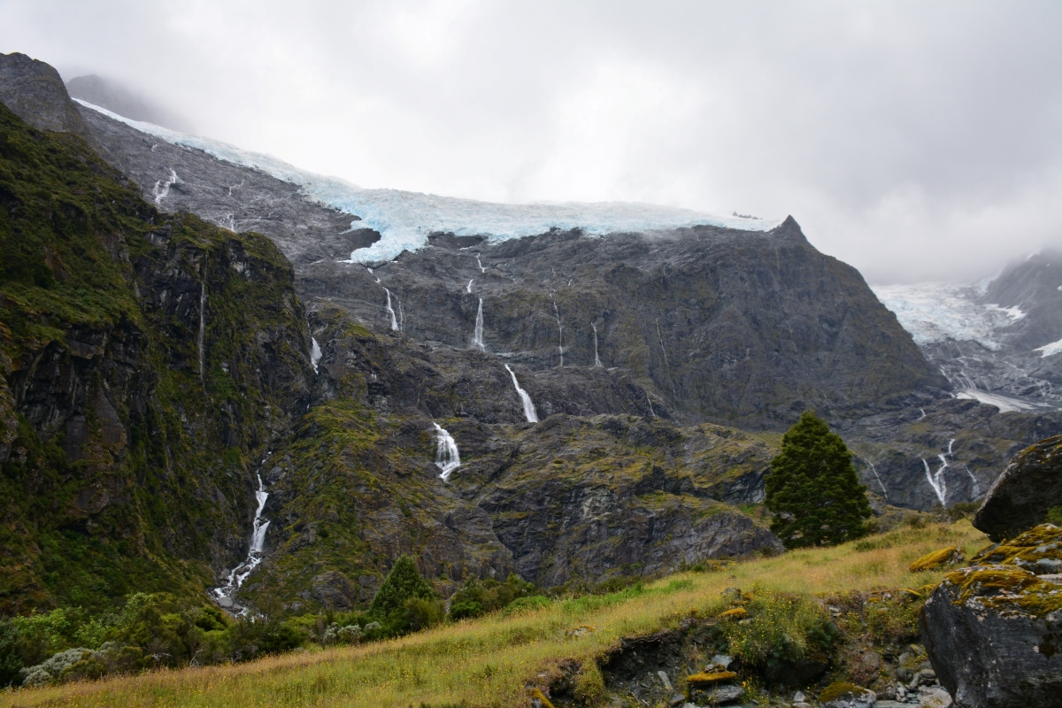 Rob Roy Glacier Track | Birdingplaces