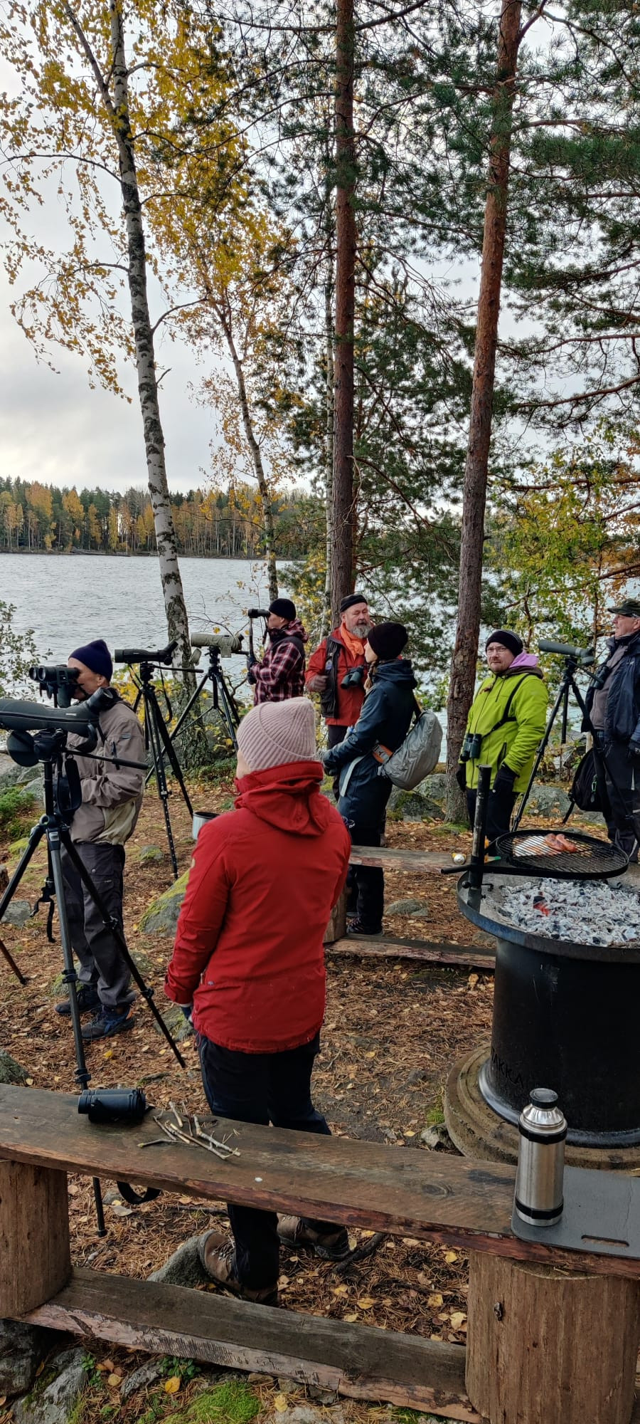 Mallasselkä - Riuttasaari | Birdingplaces