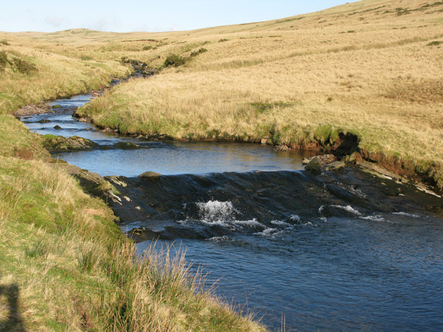 Along the River Llia | Birdingplaces