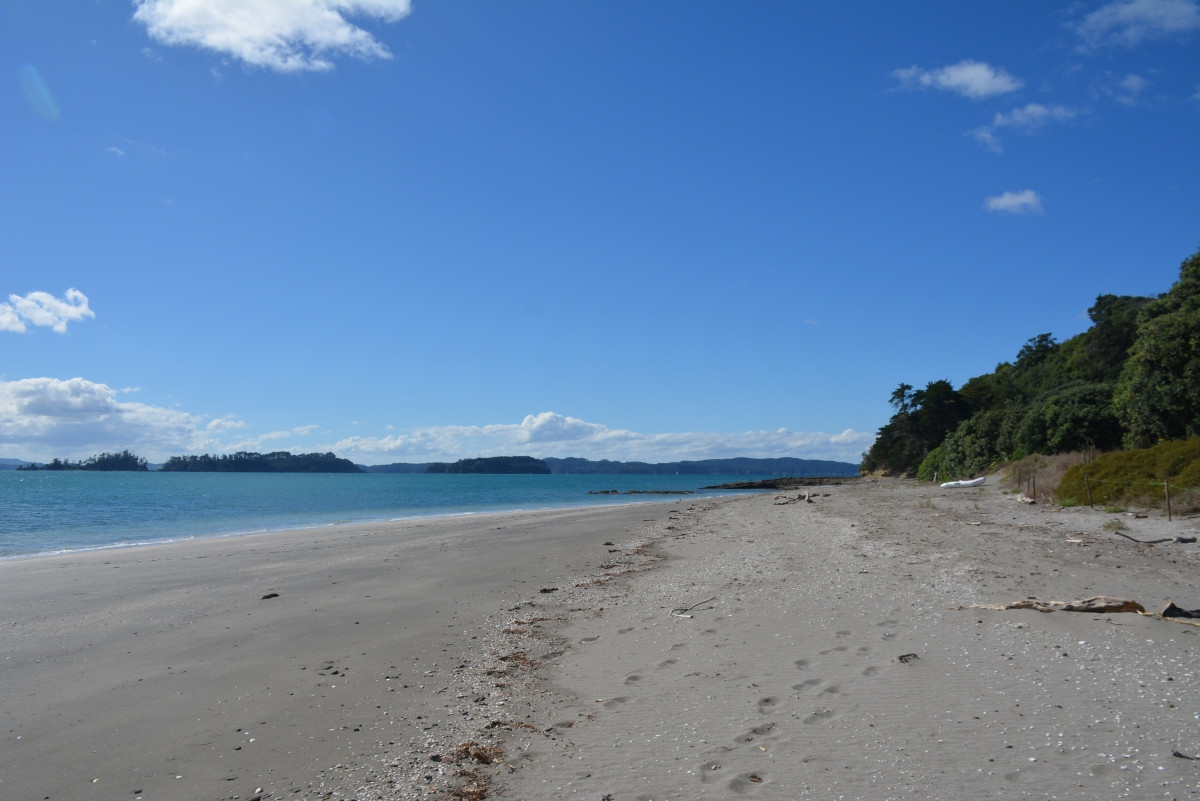 Motuora Island | Birdingplaces