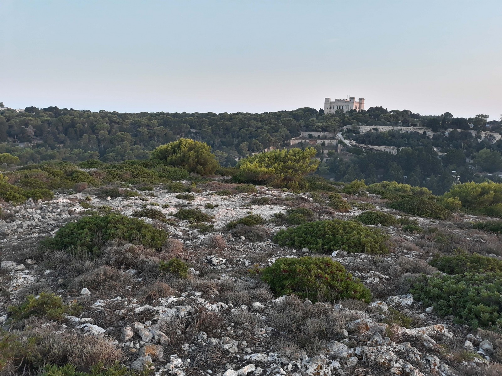Buskett Woodland | Birdingplaces