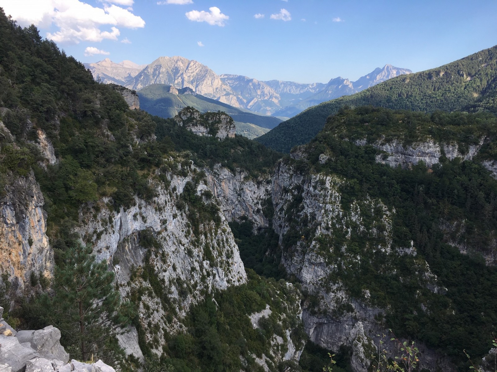 Miradores de Revilla | Birdingplaces